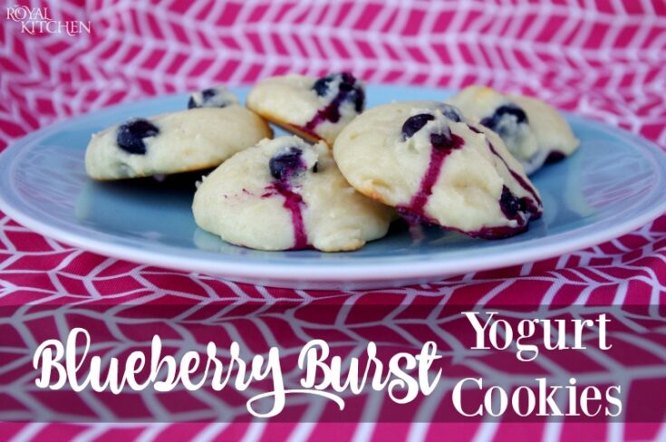 Blueberry Recipes Galore: 10 Sweet and Savory Dishes