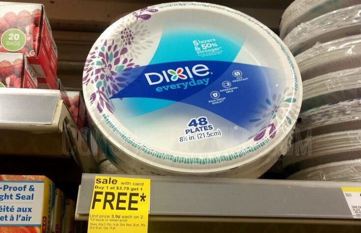 Great Buys on Dixie Paper Plates & Cups at Walgreens