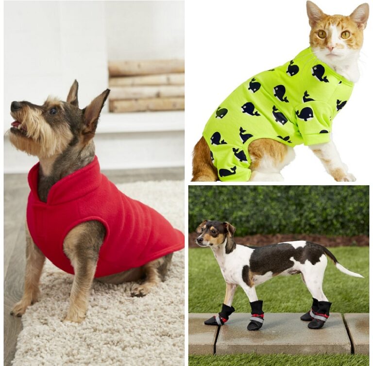 Pet Apparel & Accessories Up to 80% Off at Chewy - Starting at $1.68!