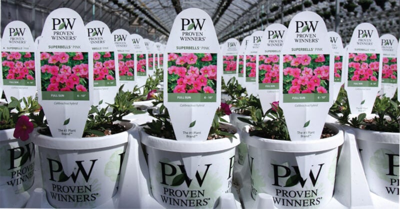 Proven Winners FREE Gardening Idea Book - Request Yours!
