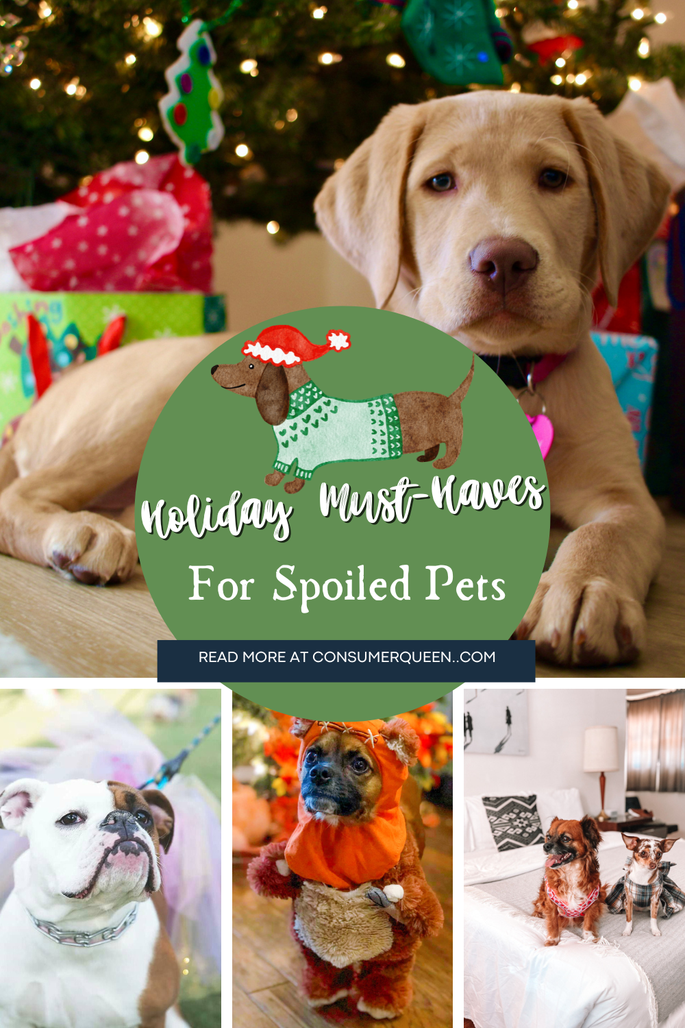 Happy Pawlidays:Holiday Must-Haves for Spoiled Pets